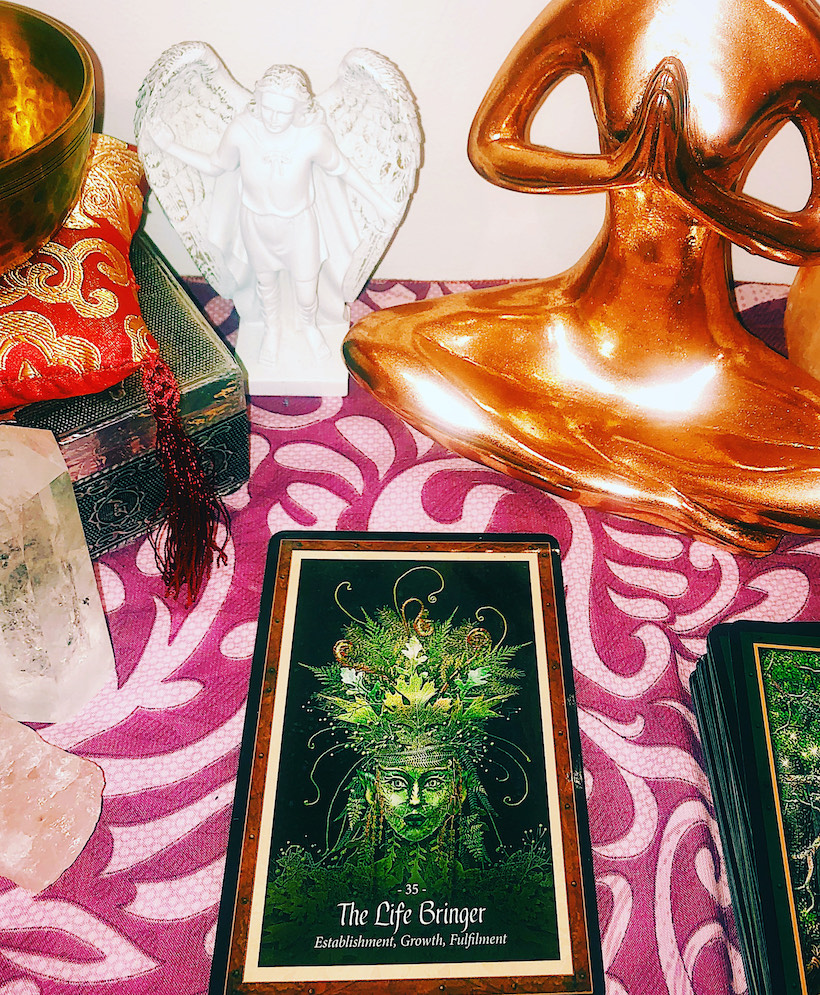 The Life Bringer | Selena Rose